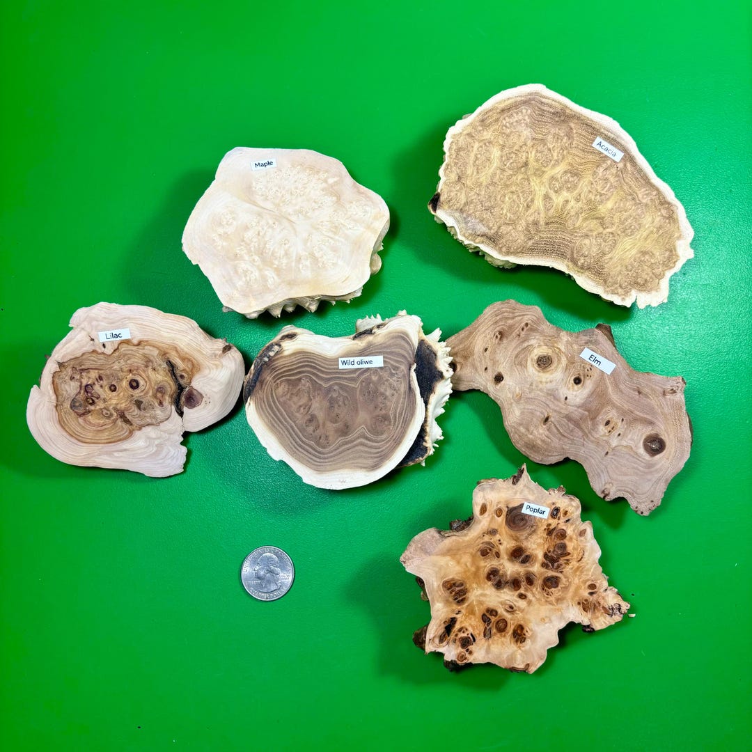 Set of Different Types of Wood 6 Pcs. Burl Wood. Live Edge Wood. Burls ...