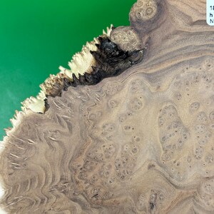Wild Olive Burl Wood. Burl Wood. Live Edge Wood. Epoxy Art. Burl Wood ...