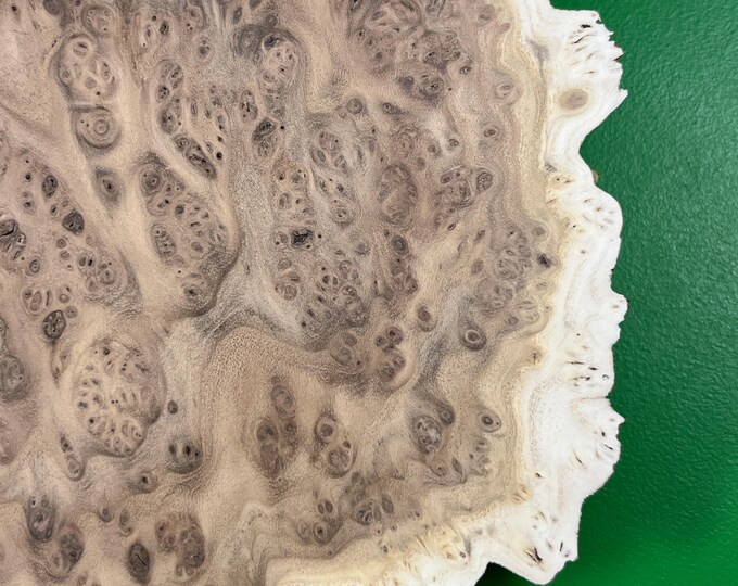 Wild Olive Burl Wood. Burl Wood. Live Edge Wood. Epoxy Art. Burl Wood ...