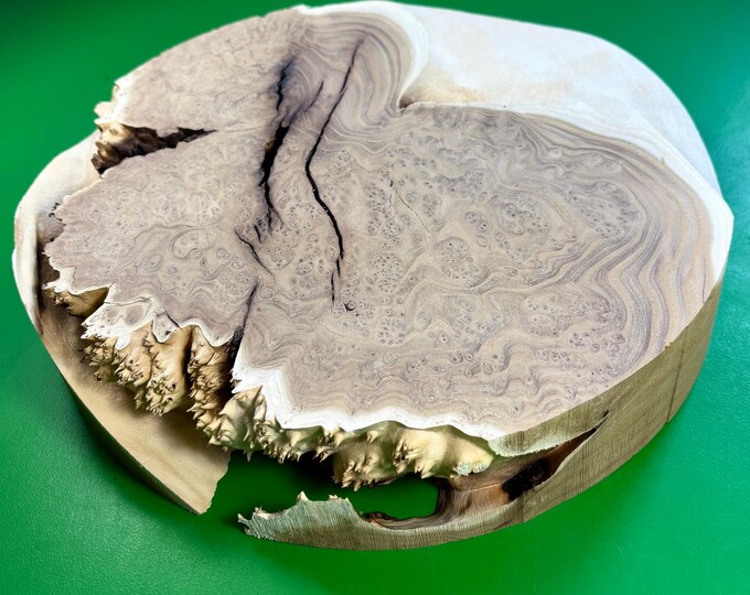 Wood Turning Blank. Wild Olive Burl Wood. Burl Wood. Live Edge Wood ...