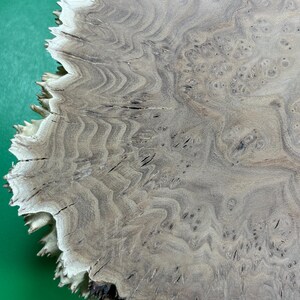 Wild Olive Burl Wood. Burl Wood. Live Edge Wood. Epoxy Art. Burl Wood ...
