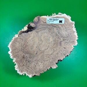 Wild Olive Burl Wood. Burl Wood. Live Edge Wood. Epoxy Art. Burl Wood ...