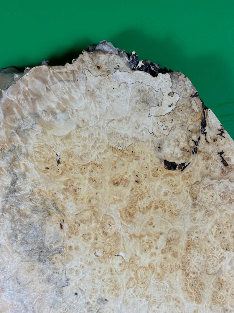 Maple Burl Wood. Live Edge Wood. Maple Slab. Woodworking Epoxy Resin ...