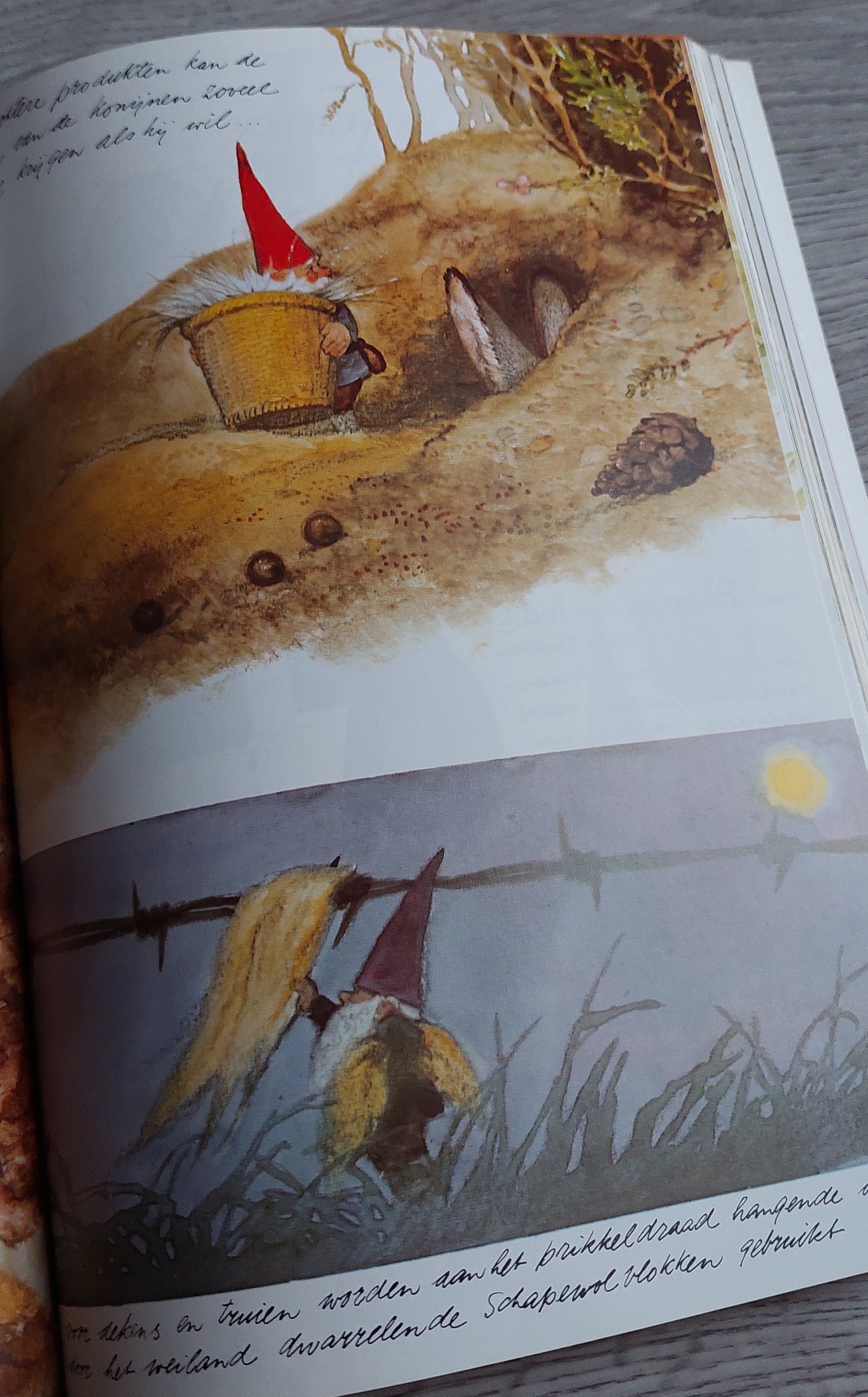 The Gnome Book de Kabouter by Rien Poortvliet and Wil Huygen Smaller ...