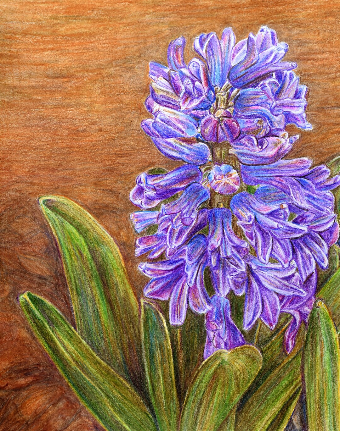 Purple Hyacinth Floral Botanical Poster Mailed Giclée Print Watercolor ...