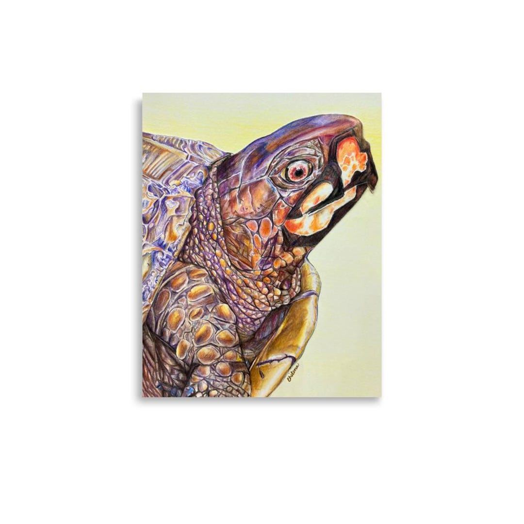 Box Turtle Art Print: Realistic Reptile Watercolor, Colorful Giclée ...