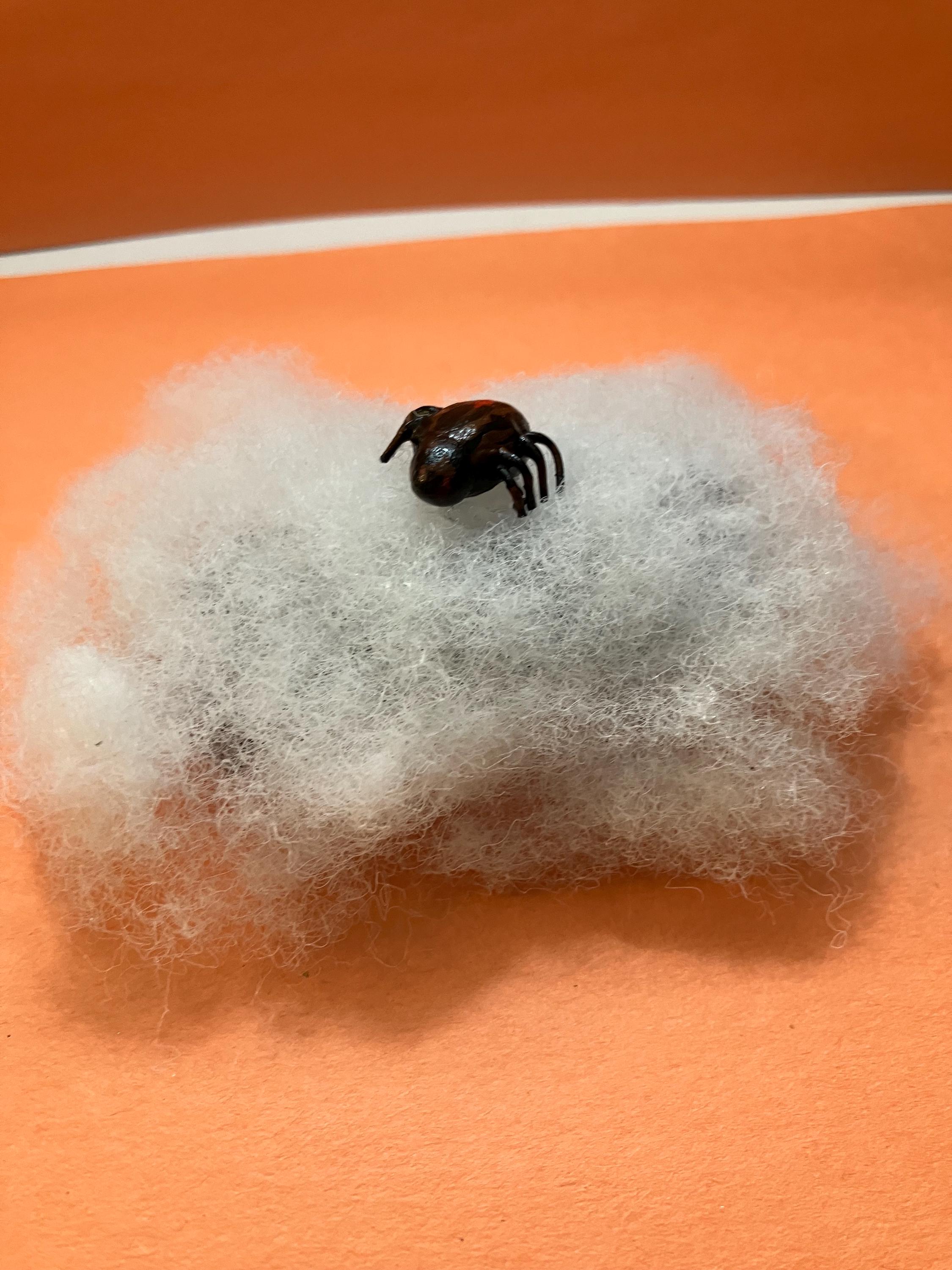 Custom Hot Wheels: Spider Racer - Etsy