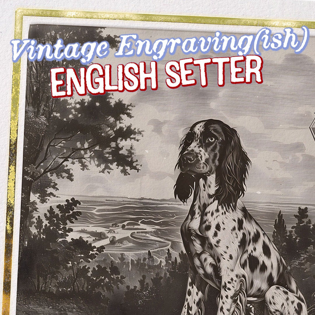 INSTANT DOWNLOAD: Printable Vintage Engraving-style English Setter ...
