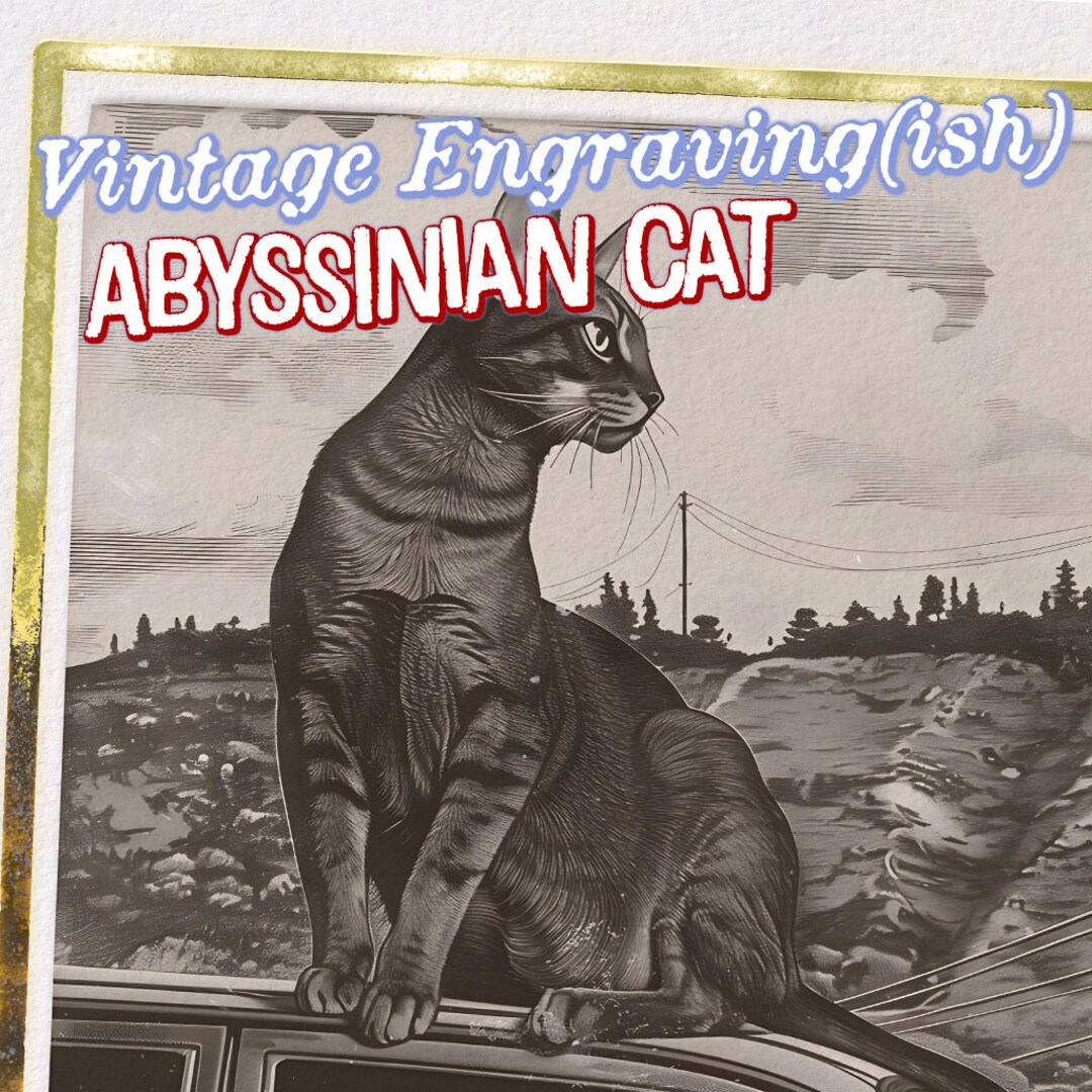 INSTANT DOWNLOAD: Printable Vintage Engraving-style Abyssinian Cat ...