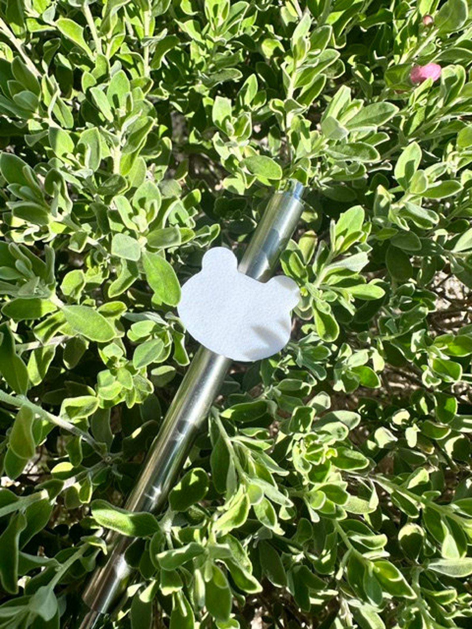 3D Printed Mr. Frog Pen Topper for Customizing Pens (DFR, Inkjoy, and ...