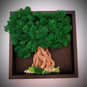 Preserved Moss Tree Decoration With Rope Premium Natural Moss Wall Art ...