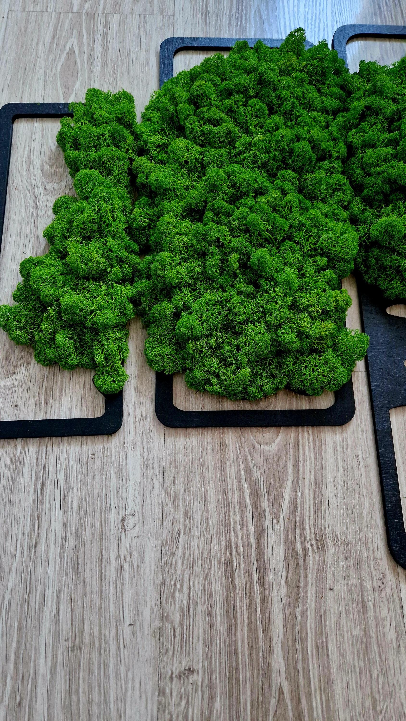 Rustic Tree With Moss Home Decoration Botanical 5 Piece Moss Home ...