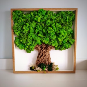 Preserved Moss Tree Decoration With Rope Premium Natural Moss Wall Art ...