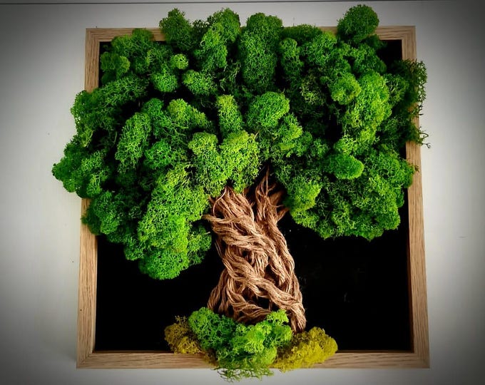 Preserved Moss Tree Decoration With Rope Premium Natural Moss Wall Art ...