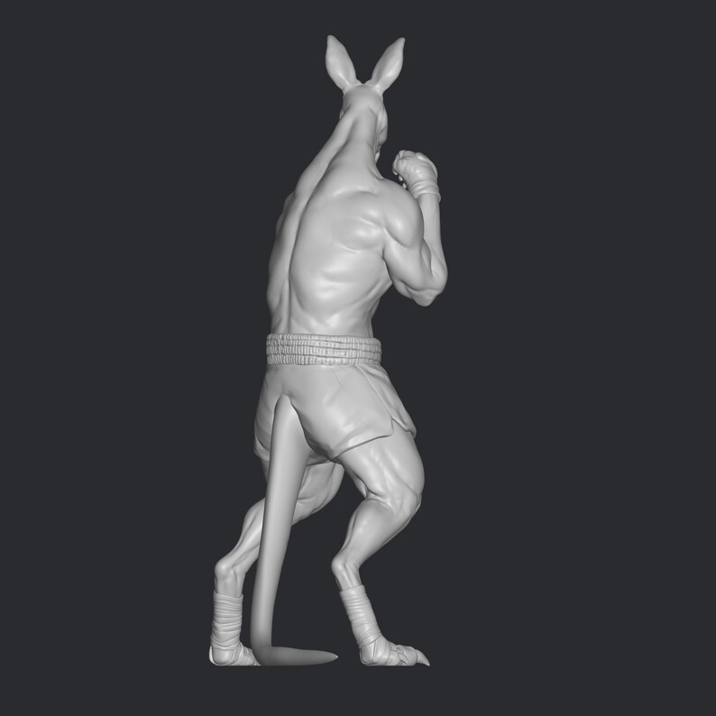 Kangaroo Boxer Stl File 3d Printing, 3d Print File, Miniature ...