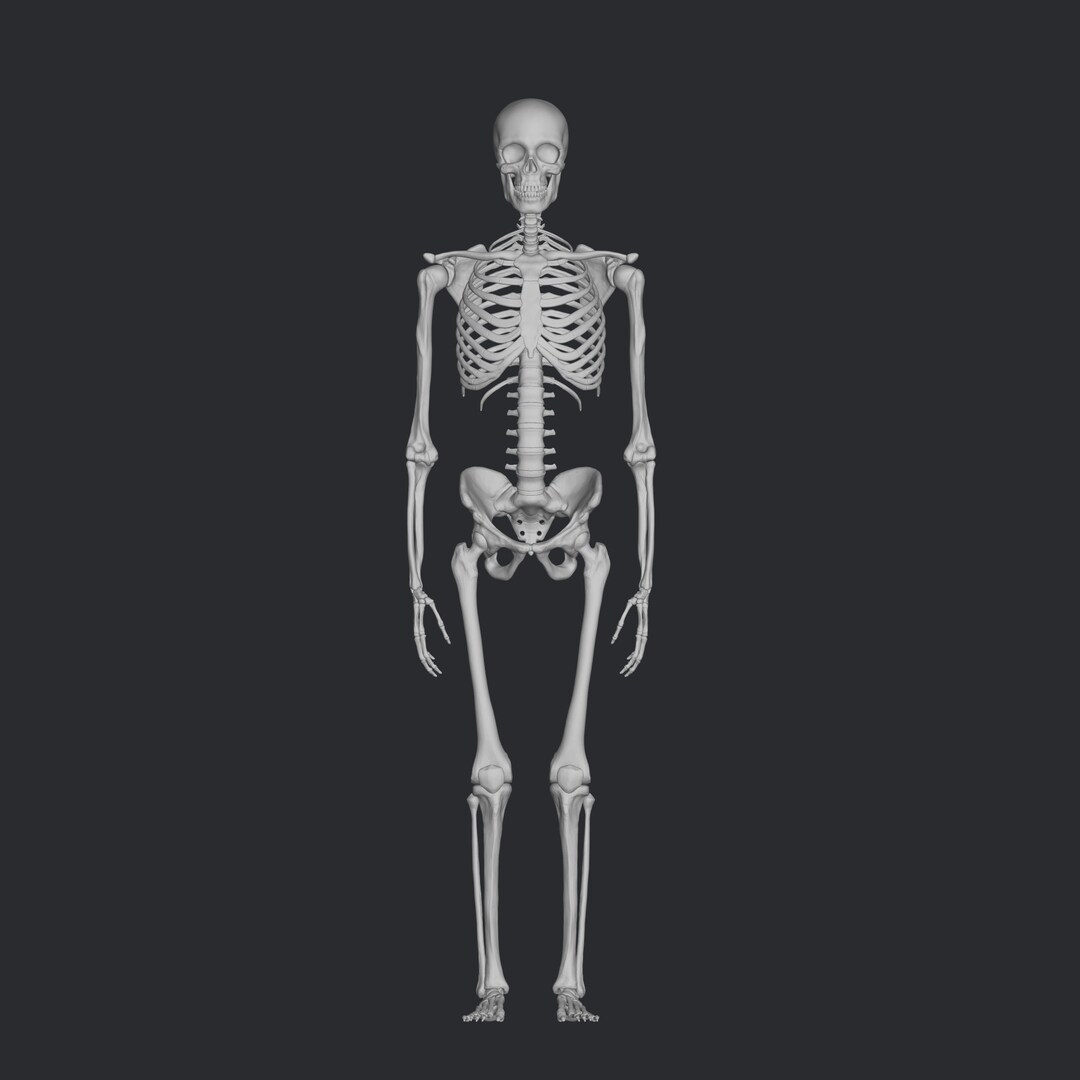 Skeleton Stl File 3d Printing, 3d Print File, Miniature, Superhero ...
