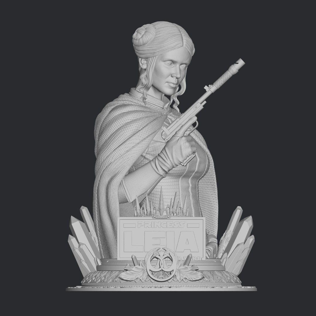 Princess Leia Bust Star Wars Stl File 3d Printing, 3d Print File ...