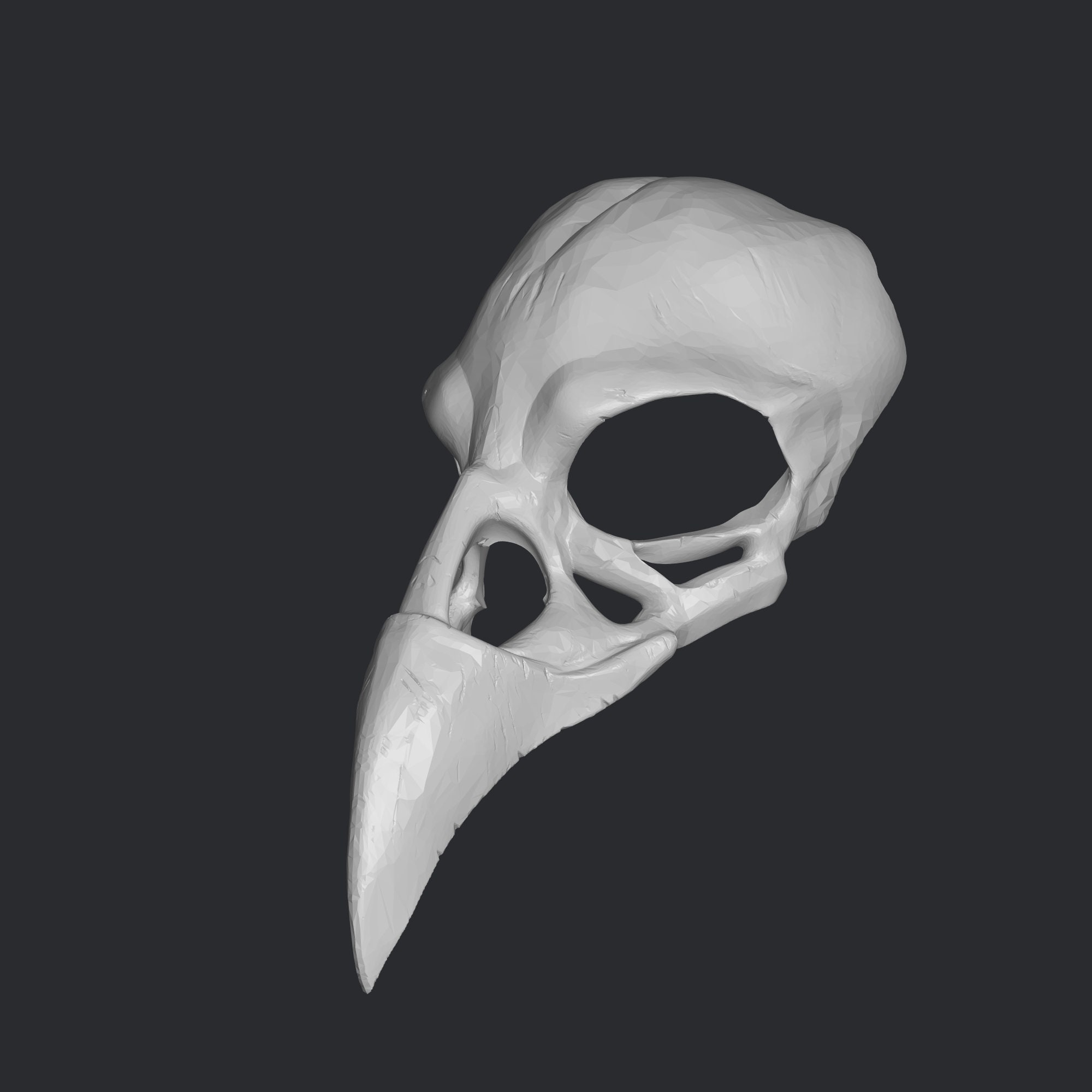 Raven Skull Mask Stl File 3d Printing, 3d Print File, Miniature ...