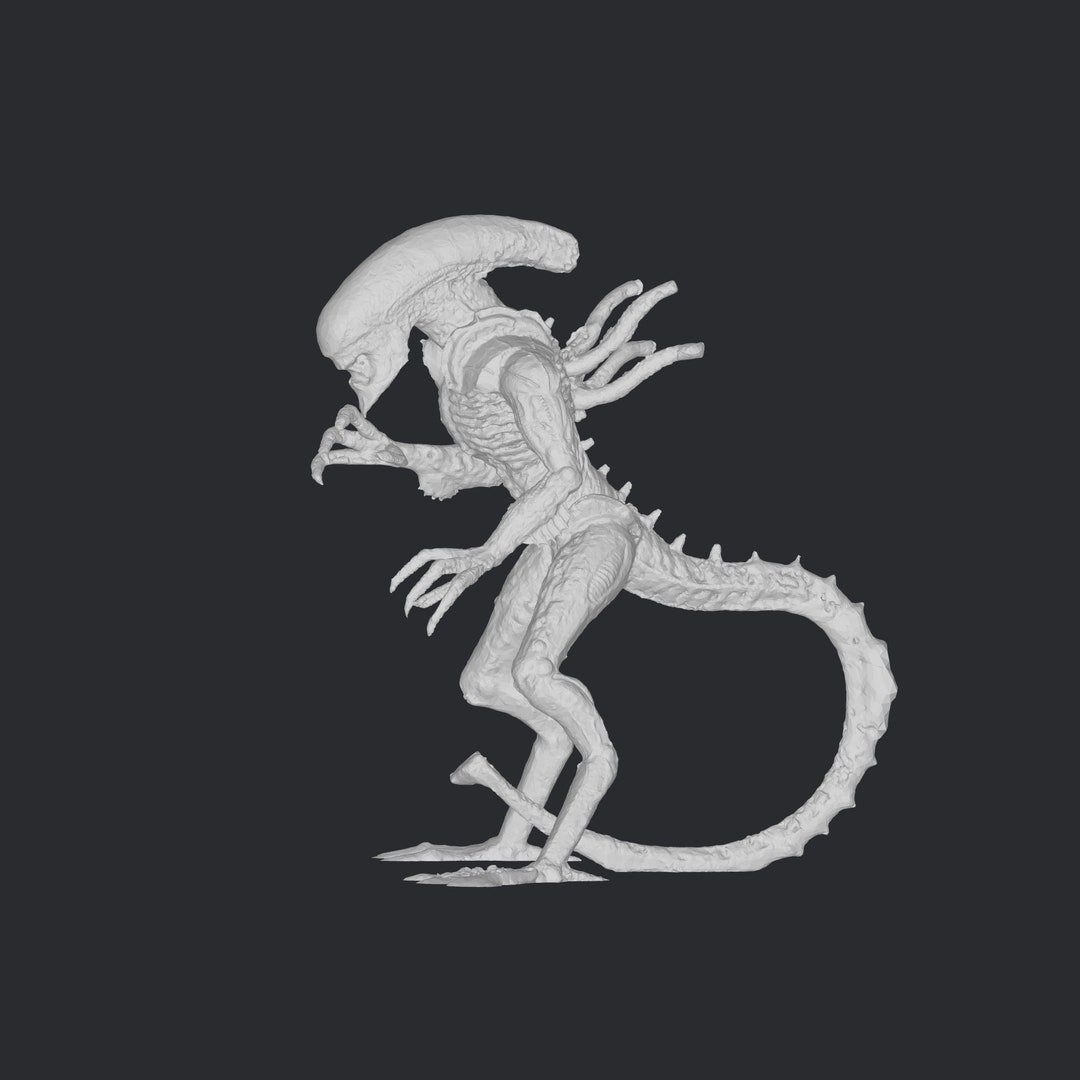 Alien Xenomorph Stl File 3d Printing, 3d Figure Stl, 3d Stl, Super Hero ...