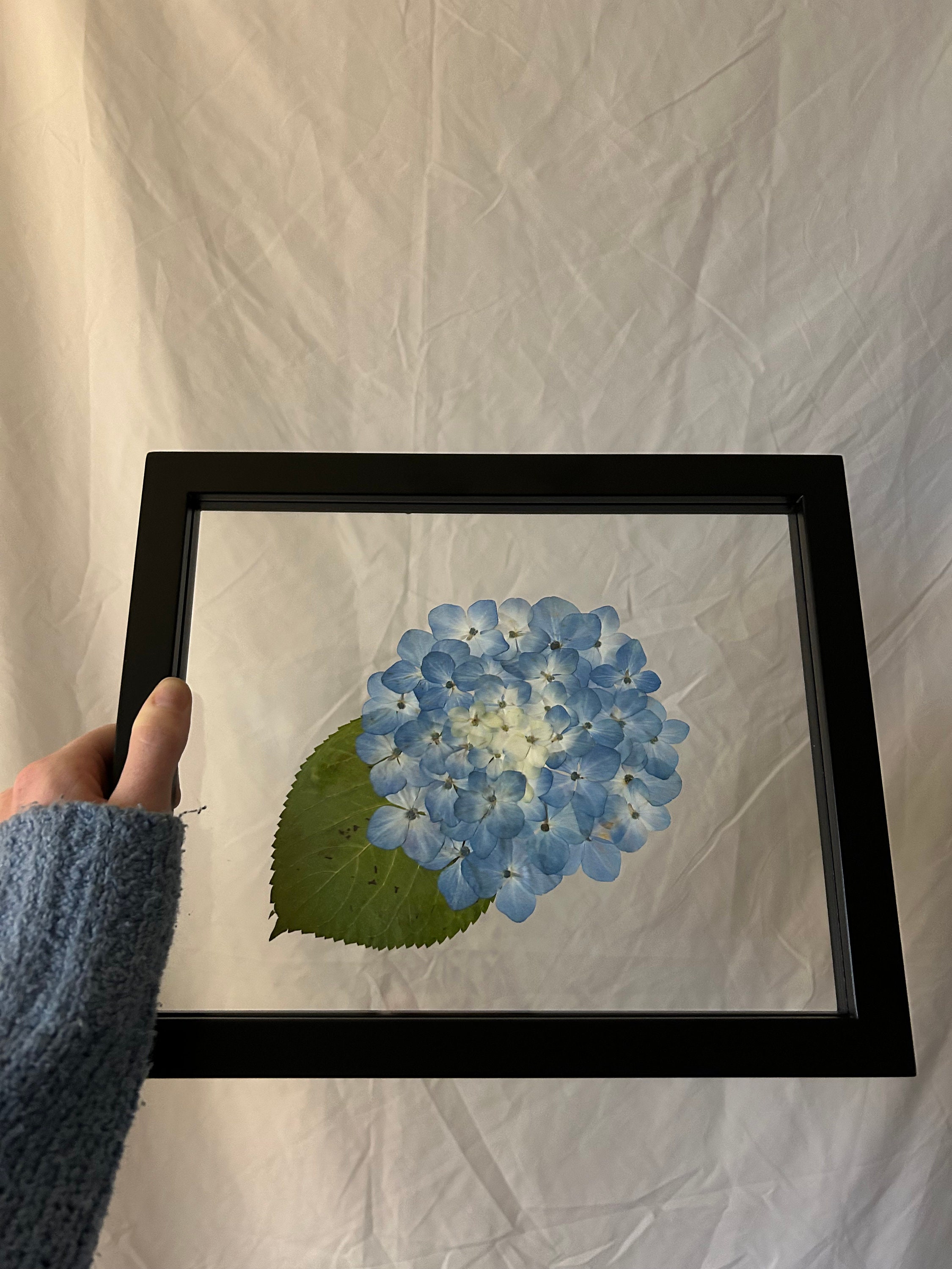 Pressed Flower Frame - Etsy