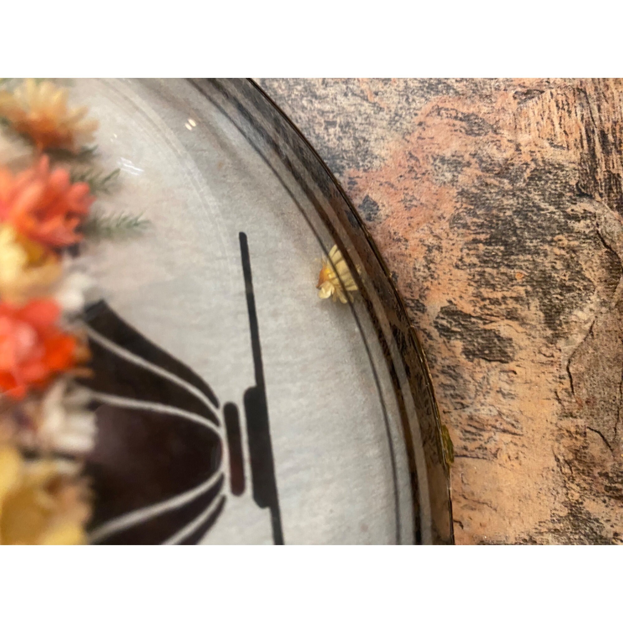 Mcm Glass Dome Dried Flower Shadow Boxes - Etsy