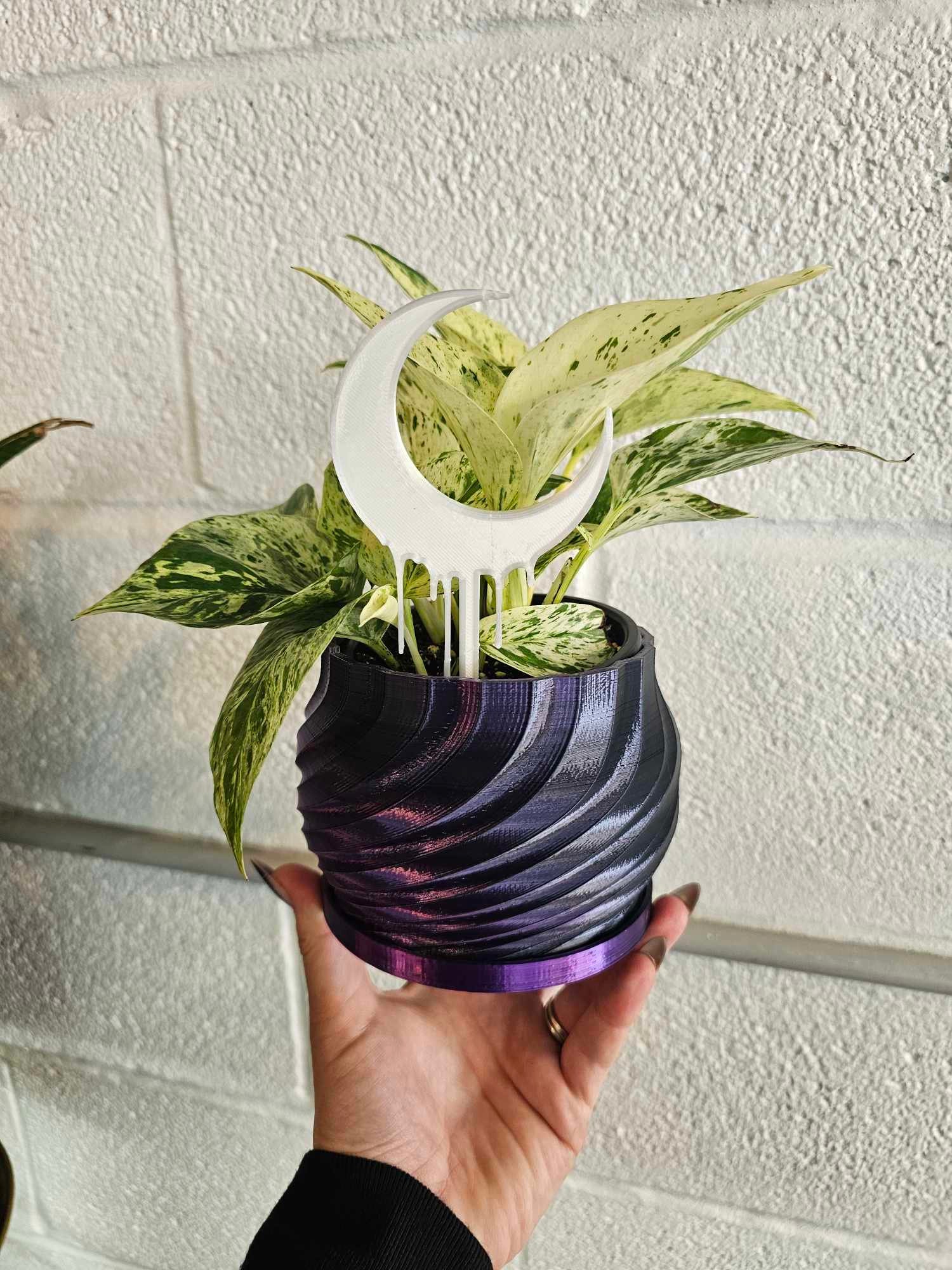 Flower Plant Friends, Flower Plant Accessories, Plant Accessories ...