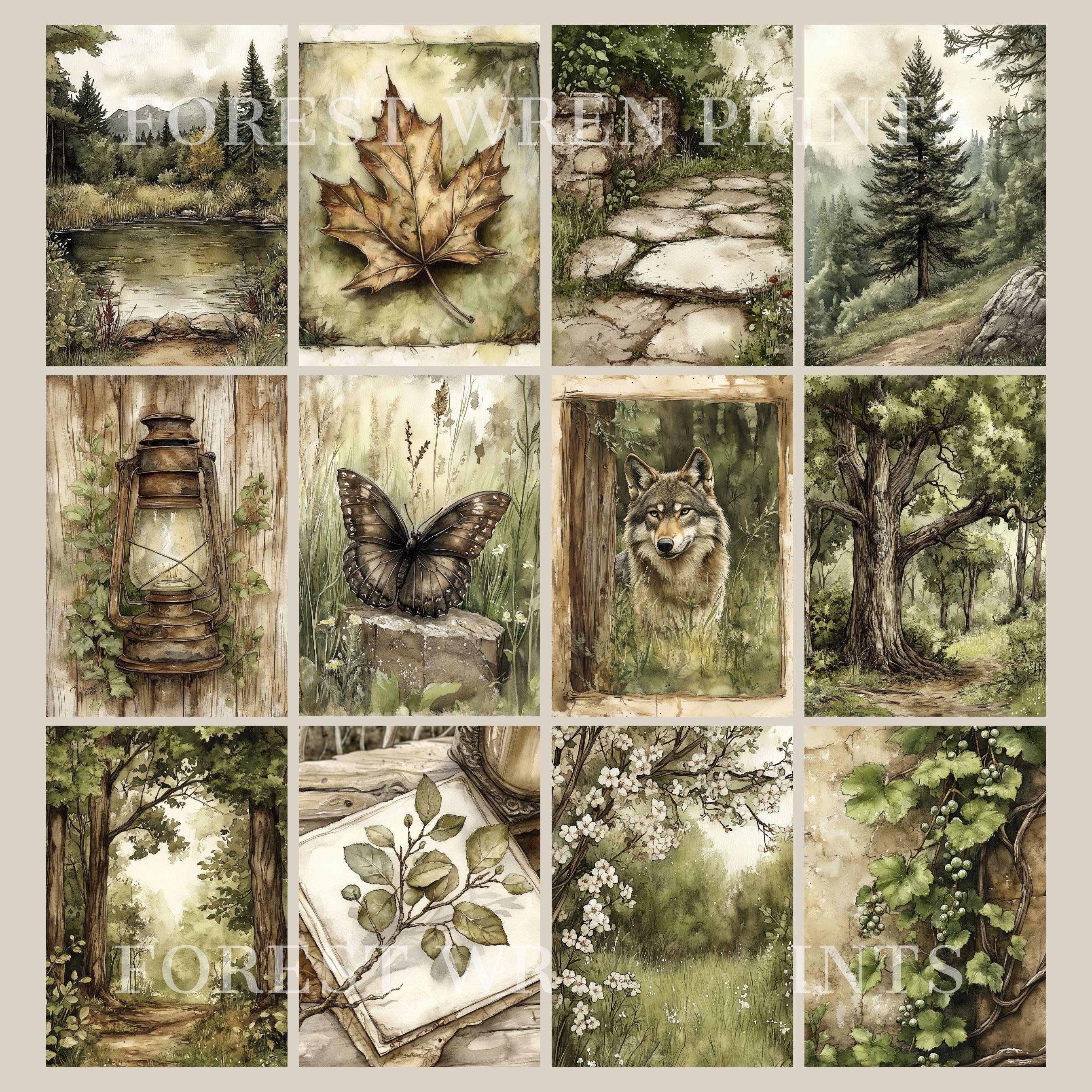 Evergreen Forest Junk Journal Pages, Botanical Journaling Background ...