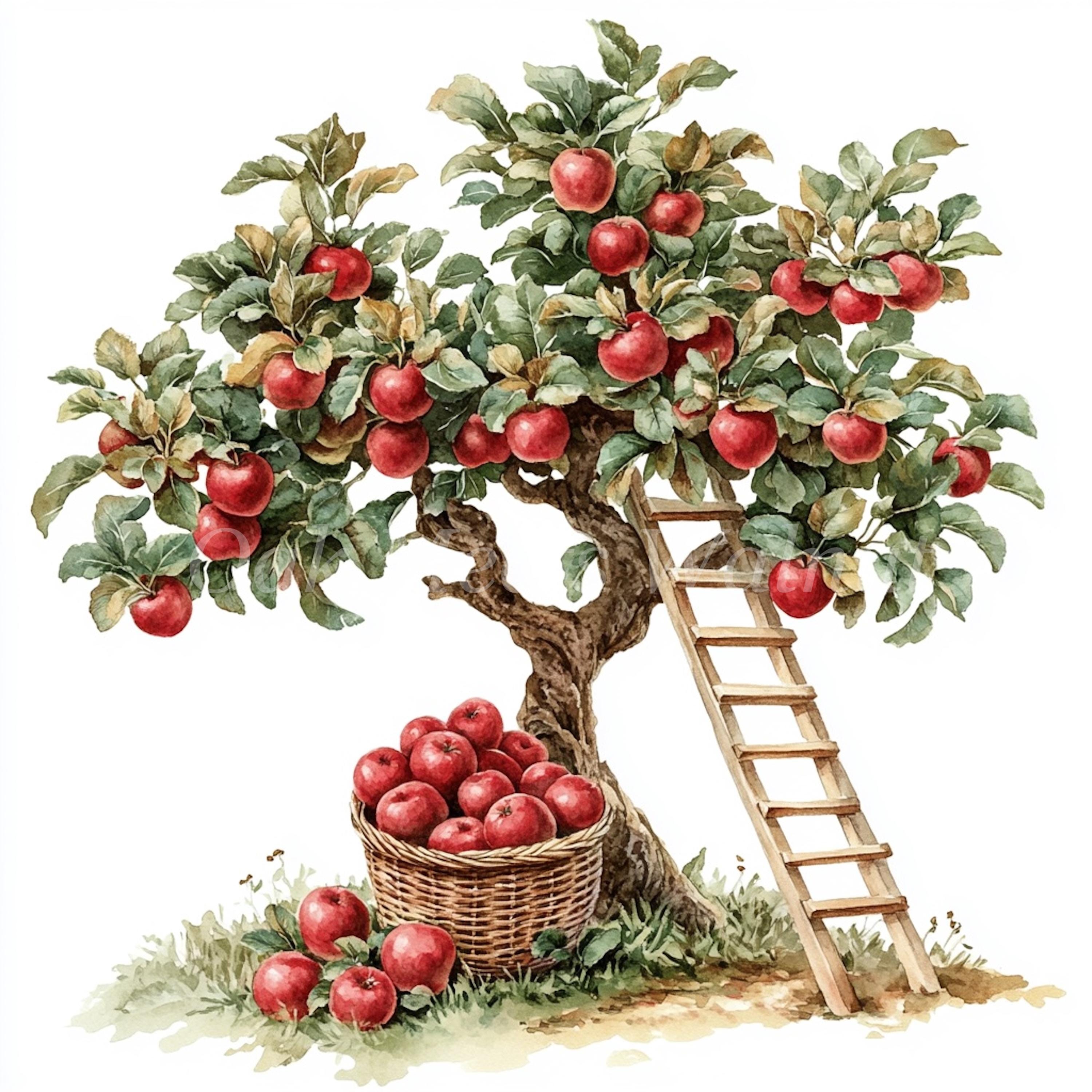 Apple Trees Clipart Bundle 10 High Quality Watercolor Jpgs, Printable ...