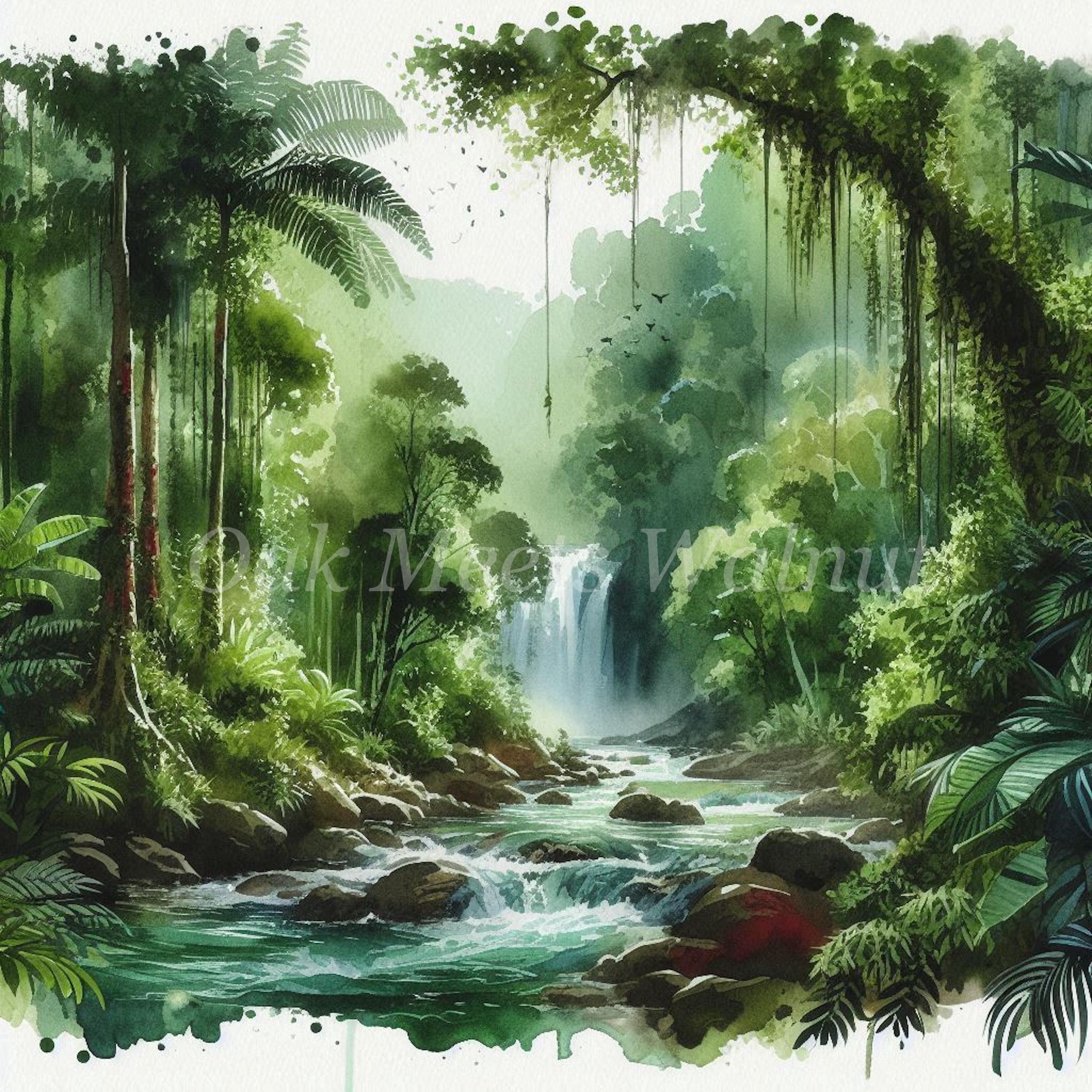 12 Rainforest Clipart Bundle- 10 High Quality Jpgs, Craft Art, Card ...