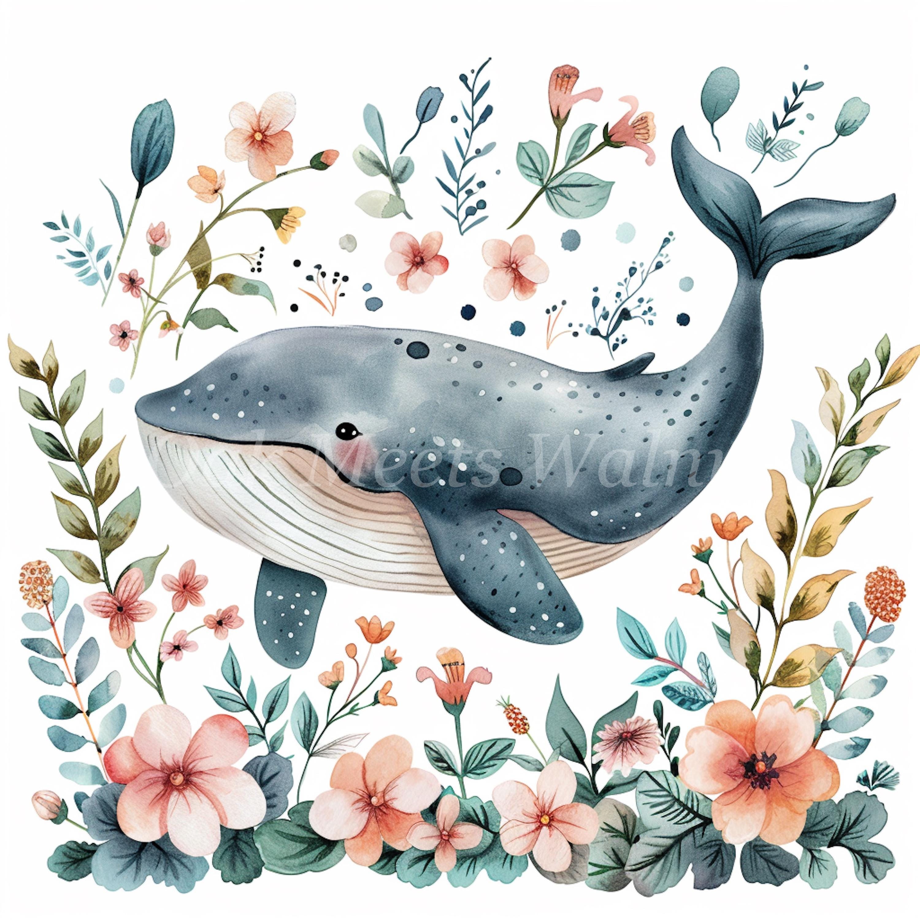 Floral Whale Watercolor Clipart Bundle (digital Download) - Etsy