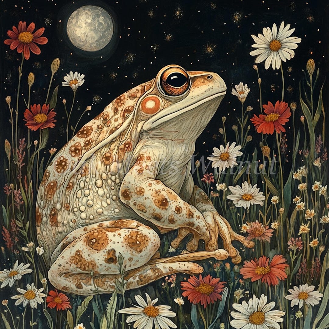 Frog in Moon Light Night Clipart Bundle- 10 High Quality Watercolor ...
