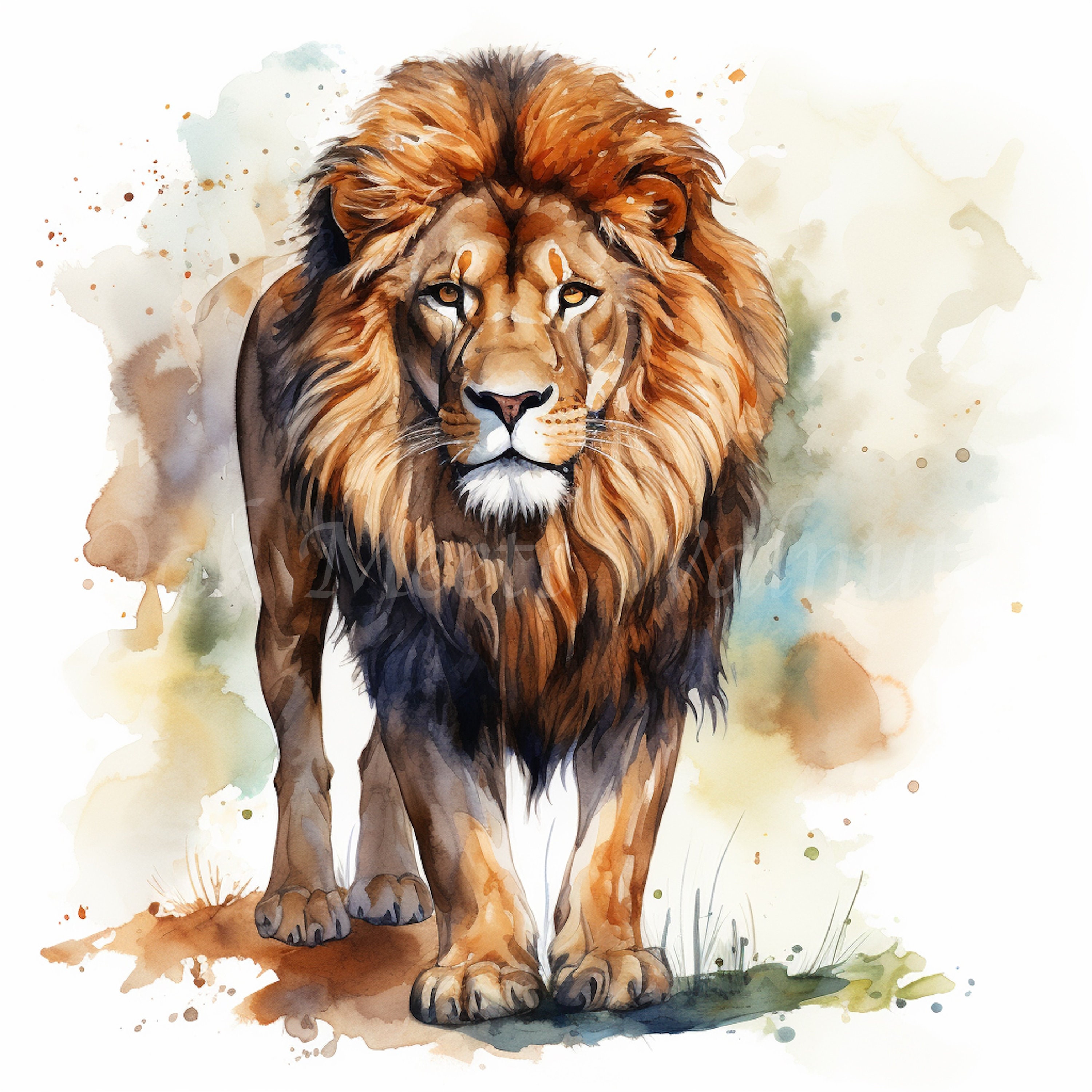 Watercolor Lion Clipart Bundle: Animal Print Images (digital Download ...