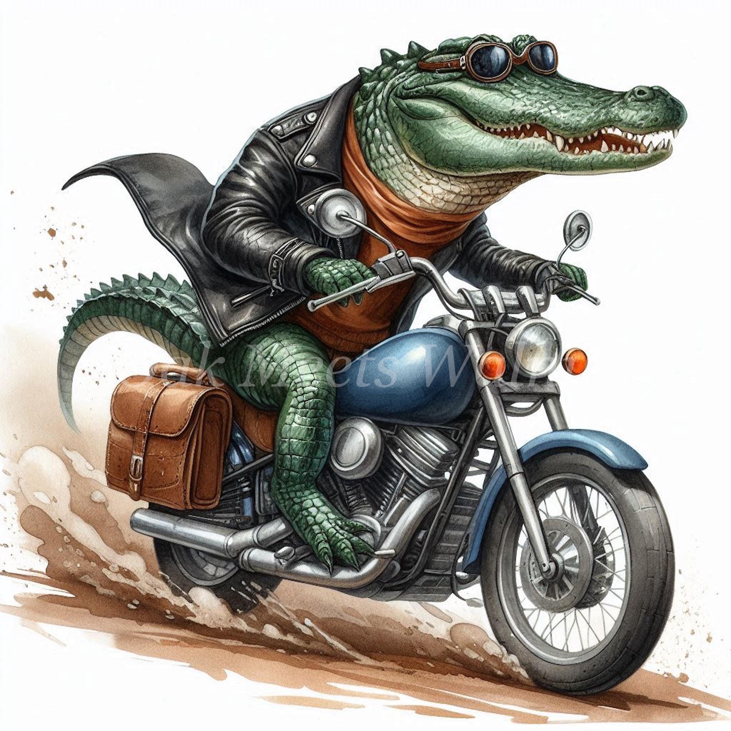 Alligator on Motorcycle Clipart: Watercolor Animal Biker Art (digital ...