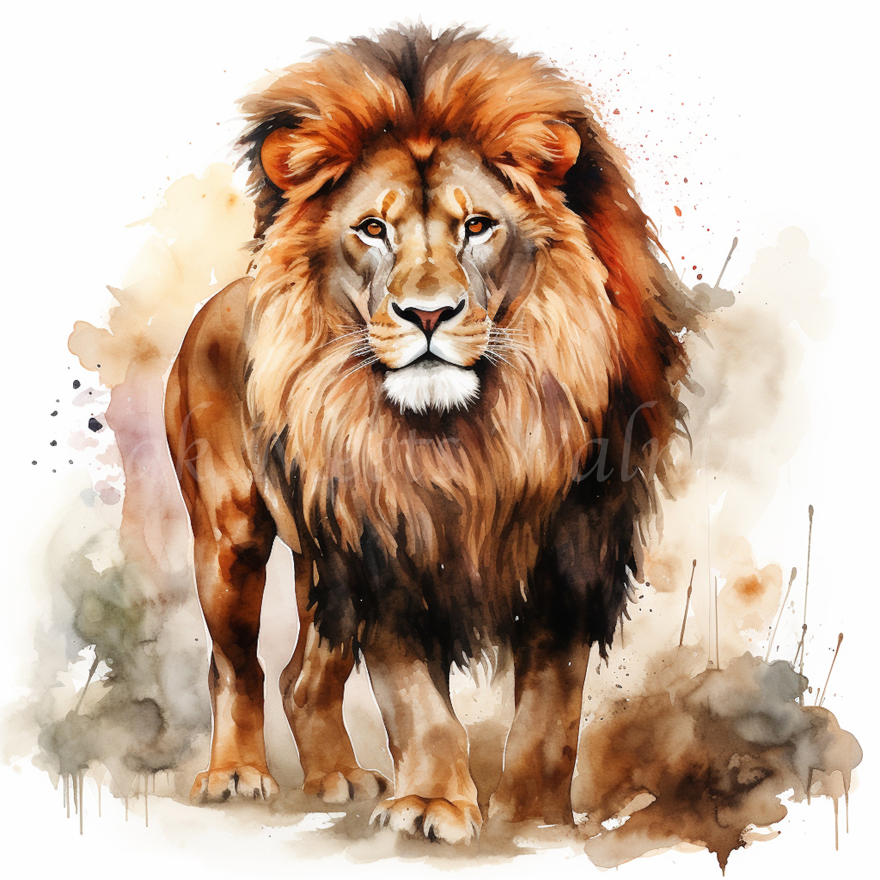 Watercolor Lion Clipart Bundle: Animal Print Images (digital Download ...