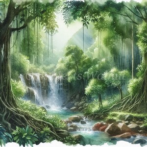 12 Rainforest Clipart Bundle- 10 High Quality Jpgs, Craft Art, Card ...