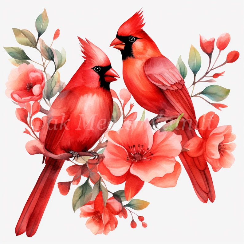 Red Cardinal Clipart Bundle- 10 High Quality Watercolor Jpgs, Flower ...