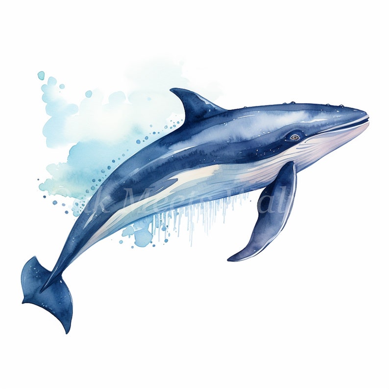 Blue Whale in Sea Clipart Bundle- 10 High Quality Watercolor Jpgs ...