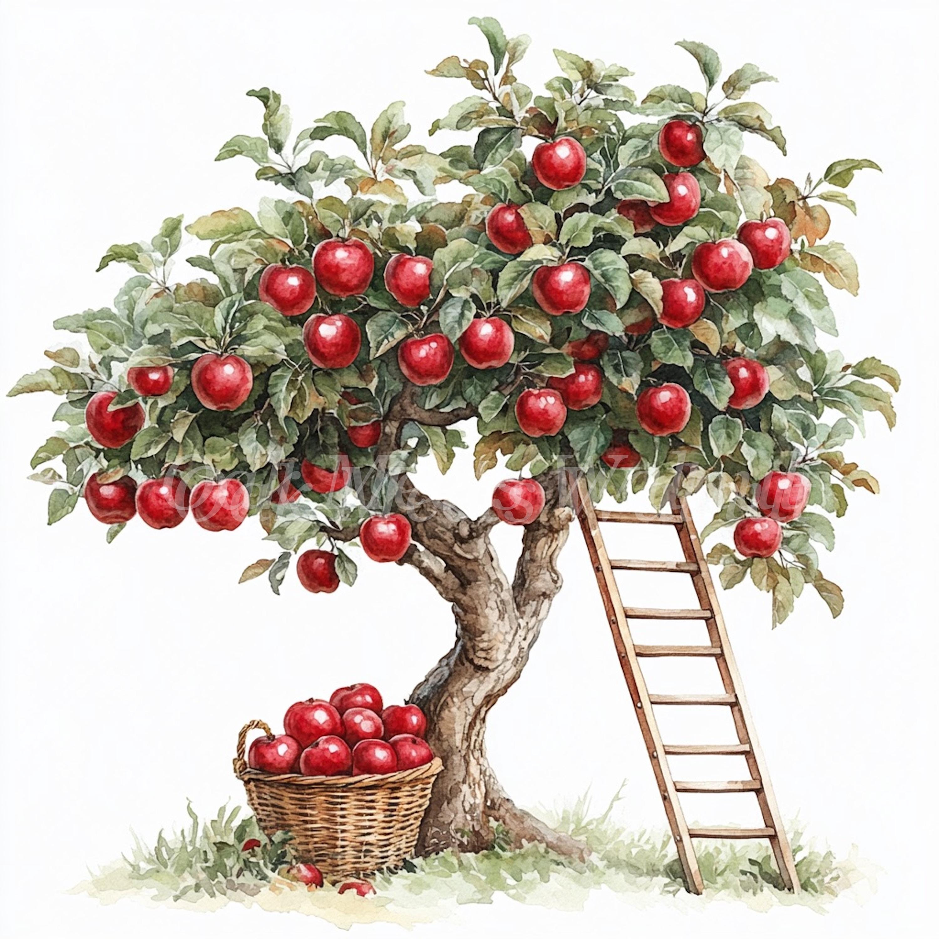 Apple Trees Clipart Bundle- 10 High Quality Watercolor Jpgs, Printable ...