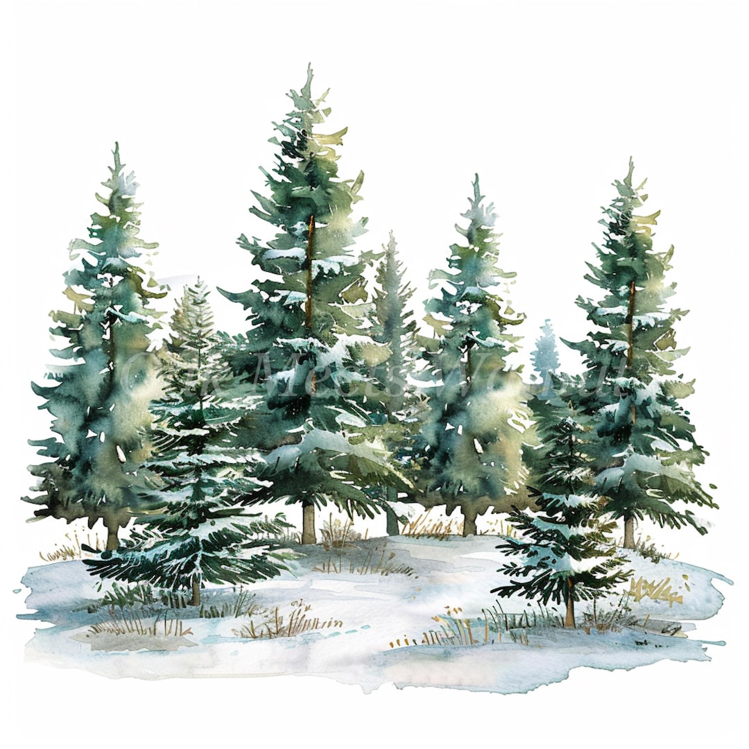 Watercolor Christmas Pine Trees Clipart Bundle (digital Download) - Etsy