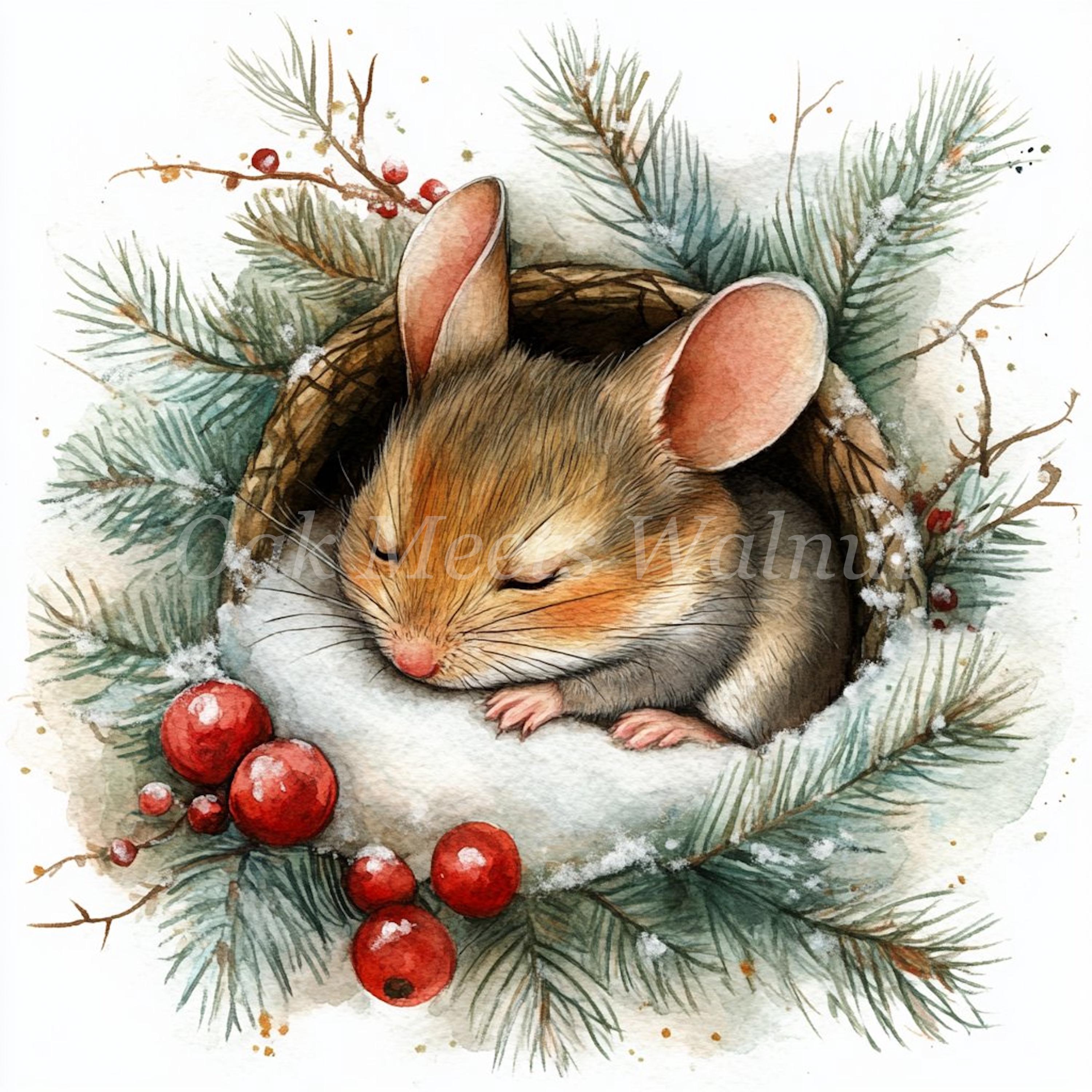 Sleeping Christmas Mouse Watercolor Clipart: Holiday Jpgs (digital ...