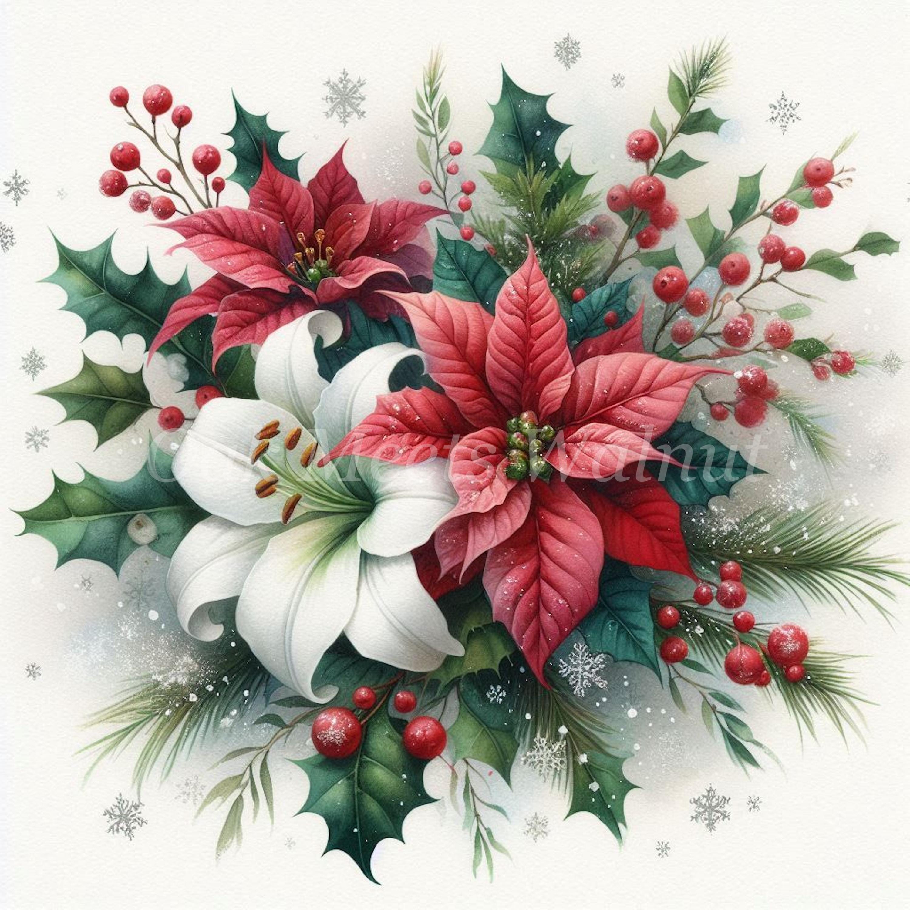 Christmas Flowers Watercolor Clipart Bundle (digital Download) - Etsy