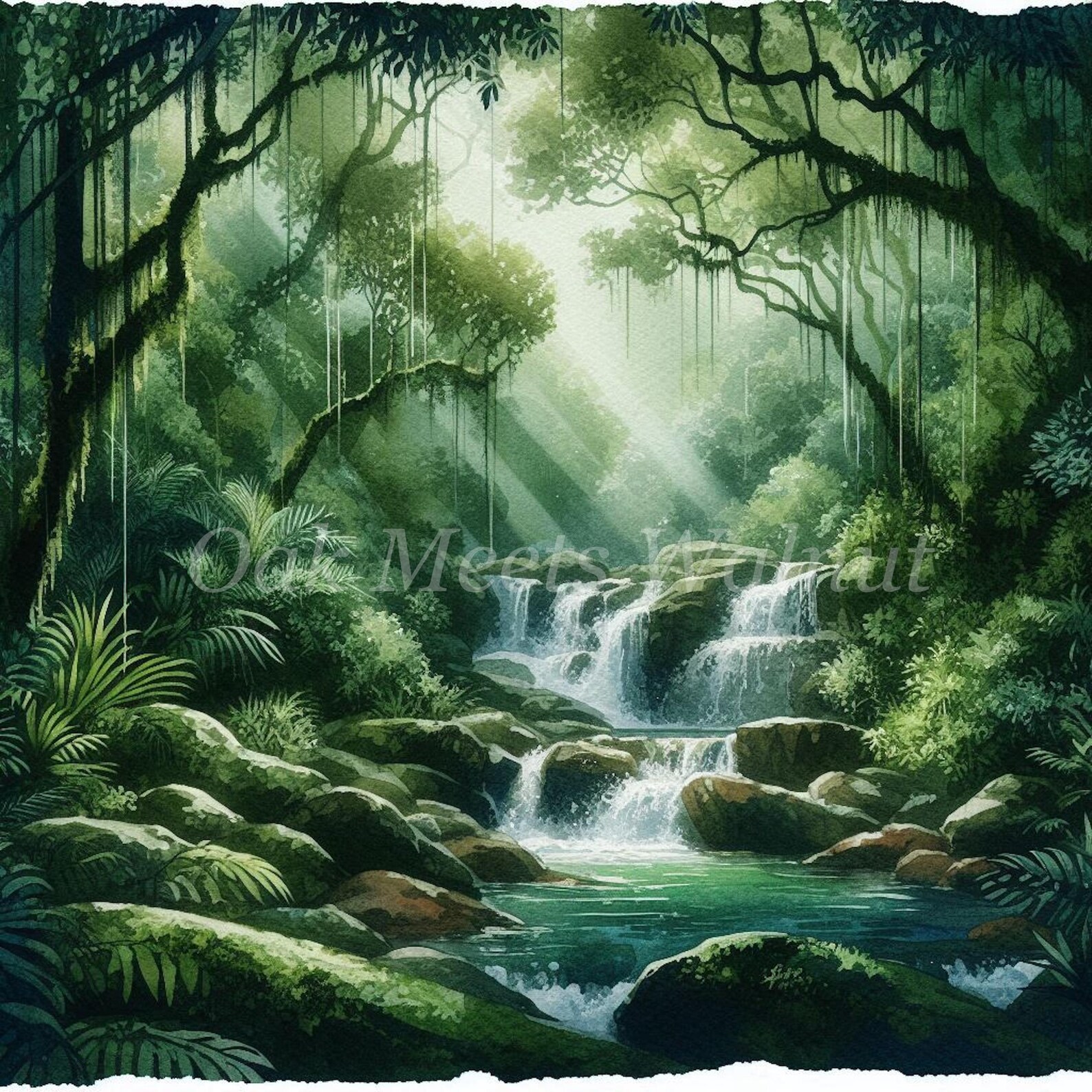 12 Rainforest Clipart Bundle- 10 High Quality Jpgs, Craft Art, Card ...