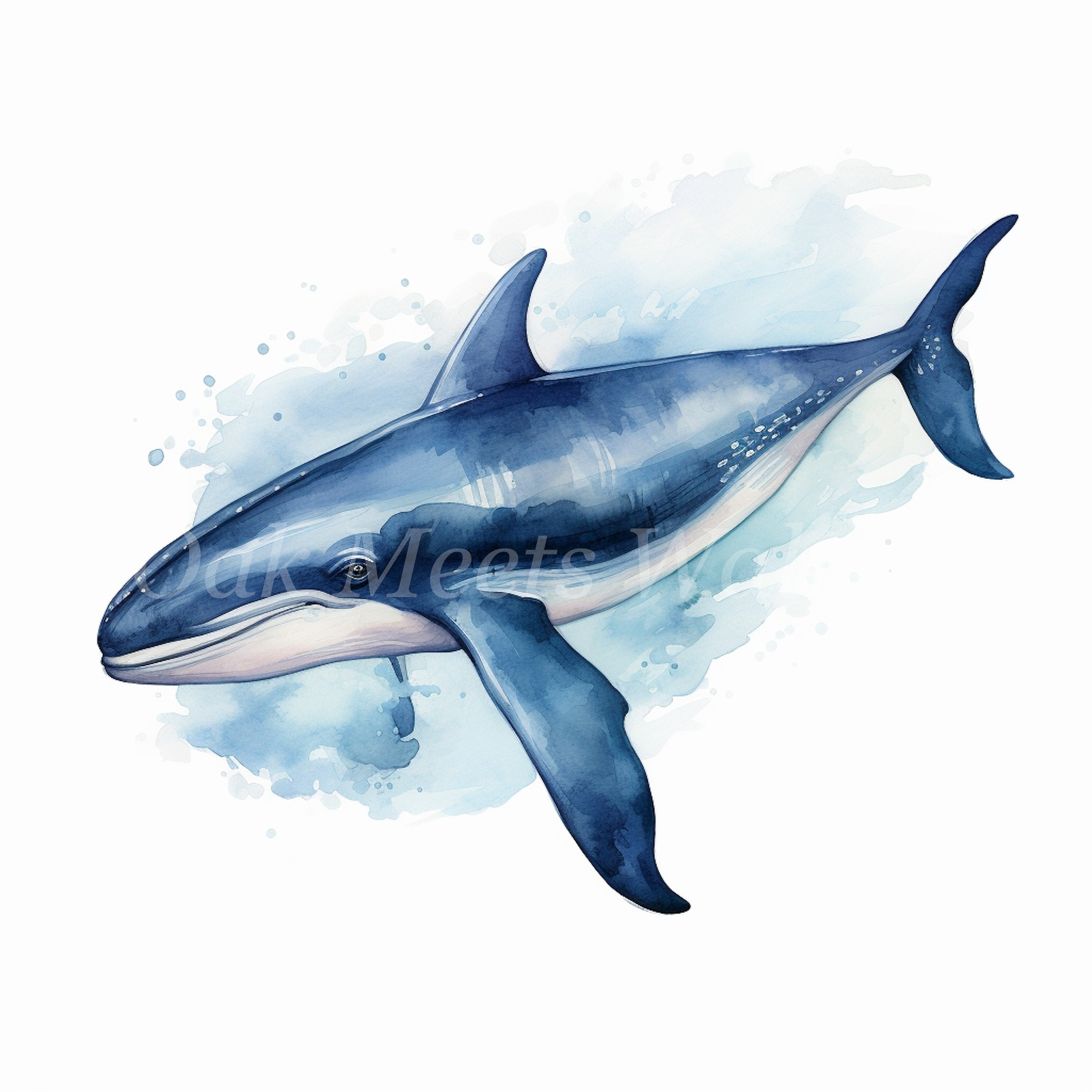 Blue Whale in Sea Clipart Bundle 10 High Quality Watercolor Jpgs ...