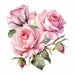 Pink Roses Clipart Bundle- 10 High Quality Watercolor Jpgs, Flower ...