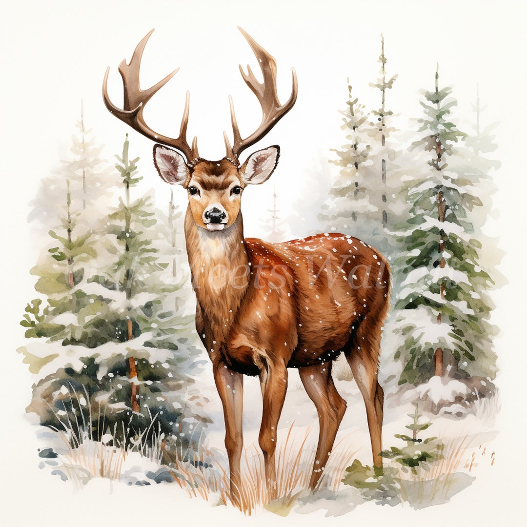 Watercolor Christmas Deer Clipart: Reindeer & Elk Illustrations ...
