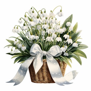 Snowdrop Basket Clipart: Watercolor Floral JPG Bundle (digital Download ...