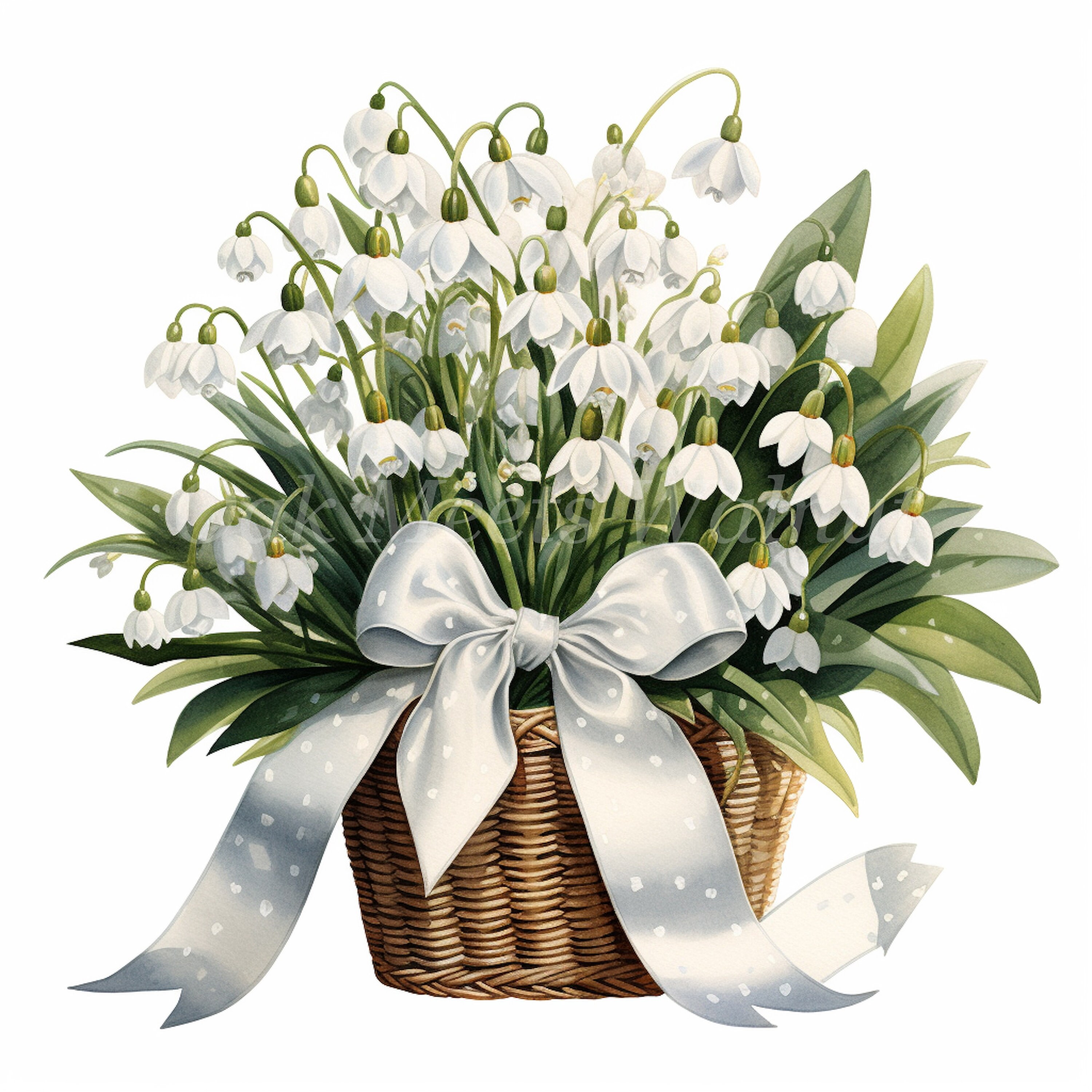 Snowdrop Basket Clipart: Watercolor Floral JPG Bundle (digital Download ...