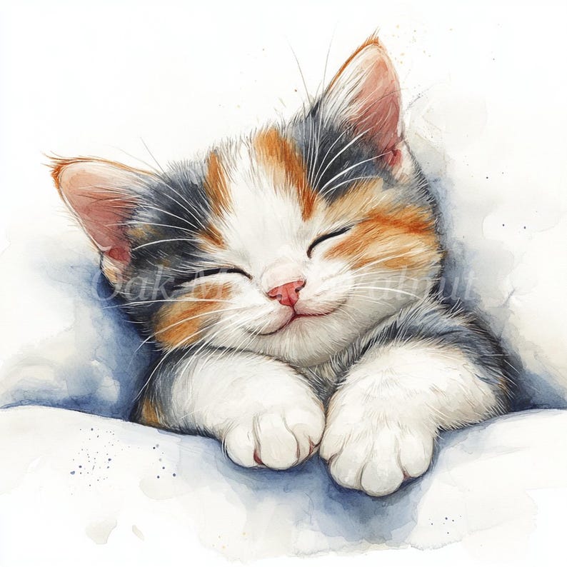 Sleeping Kitty Watercolor Clipart – Cat Illustrations Bundle (digital ...