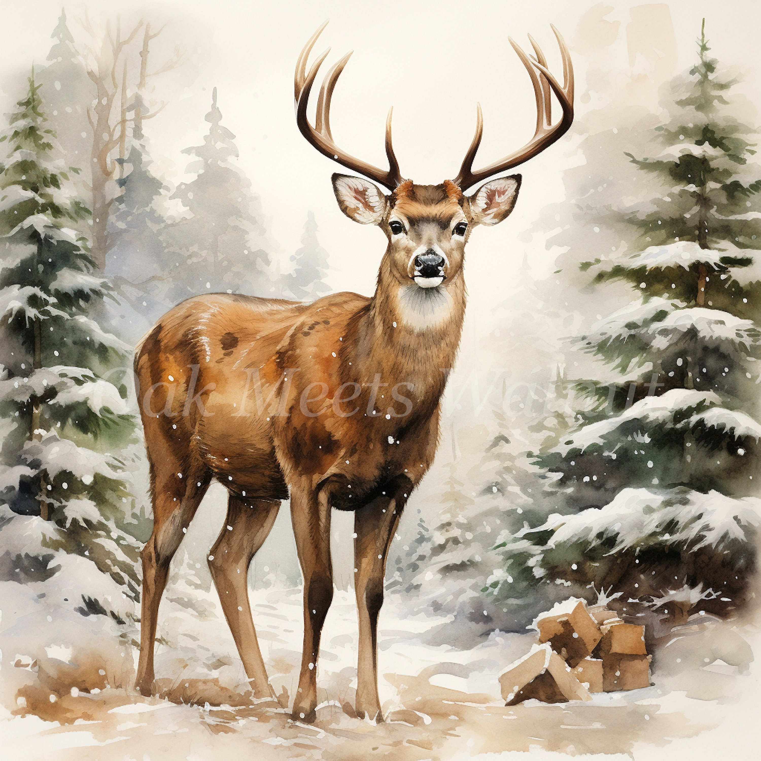 Watercolor Christmas Deer Clipart: Reindeer & Elk Illustrations ...