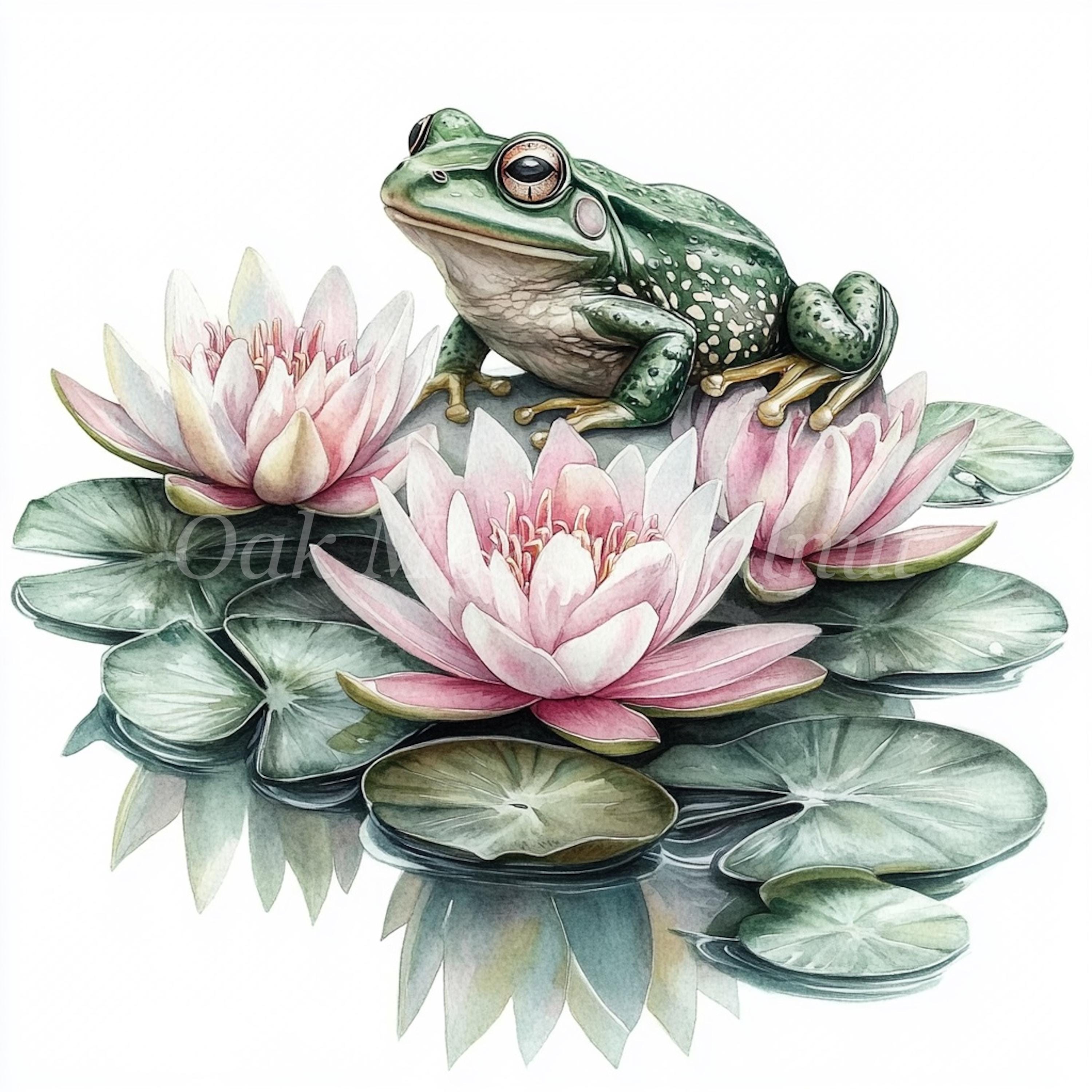 Frog on Lily Pad Clipart Bundle-10 High Quality Watercolor Jpgs ...